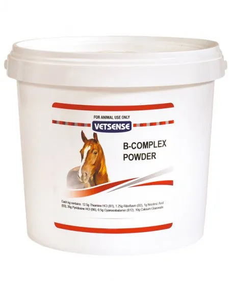B COMPLEX POWDER 3KG - Equine Solutions