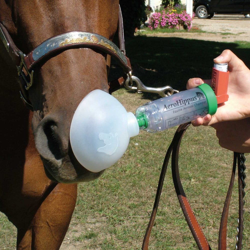 Horse, Greyhound & Animal Needs | Equine Solutions